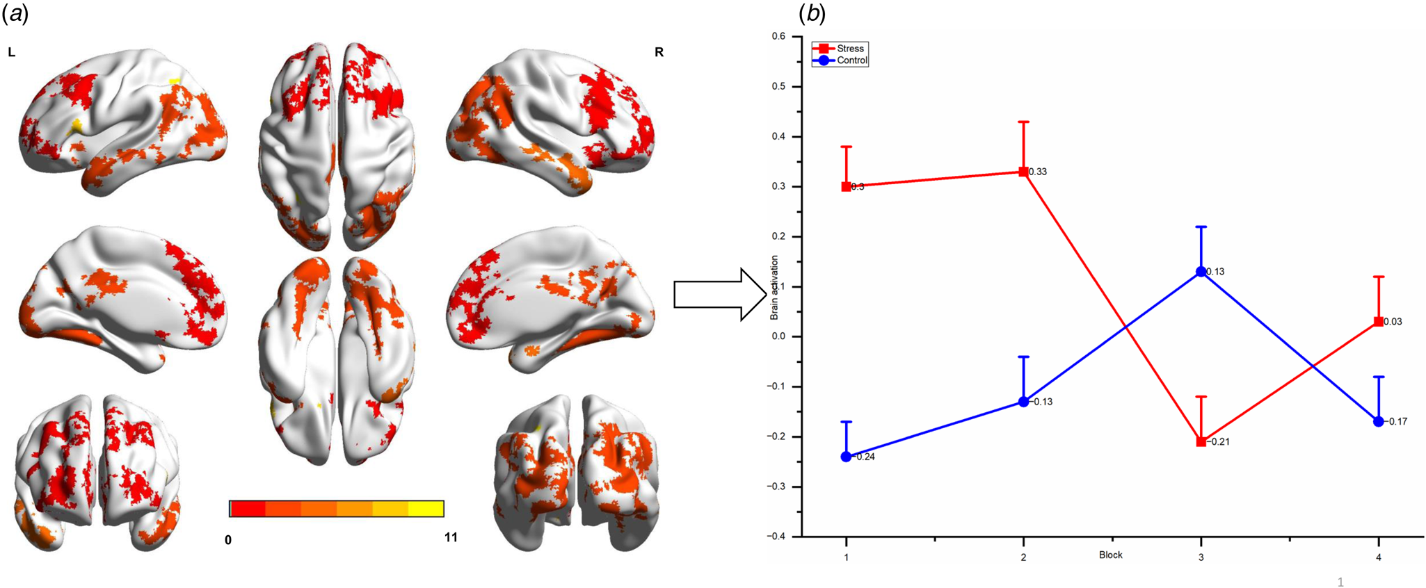 Neural habituation during acute stress signals a blunted endocrine ...