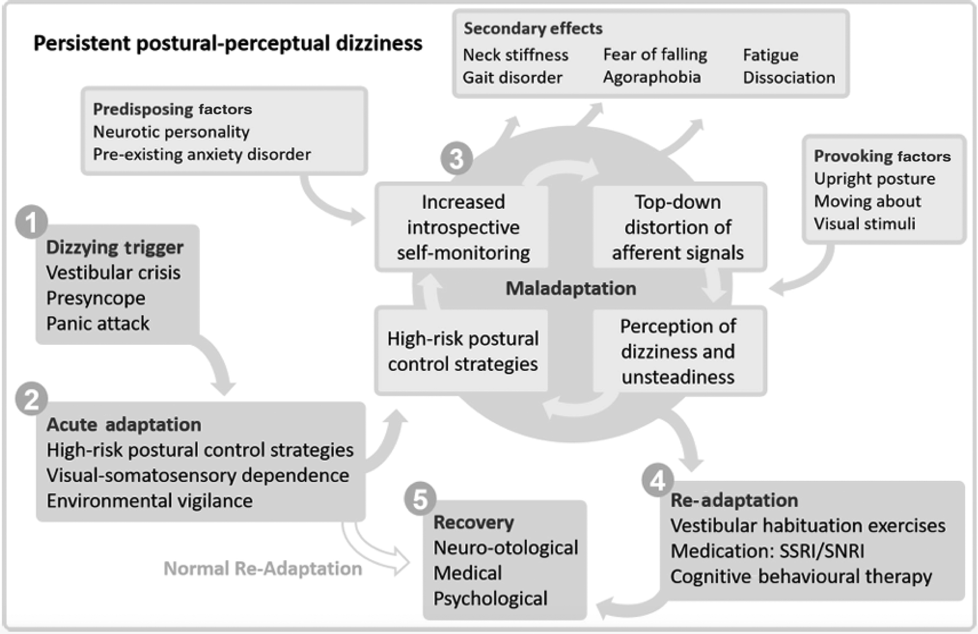 Introduction to the assessment and management of persistent postural ...