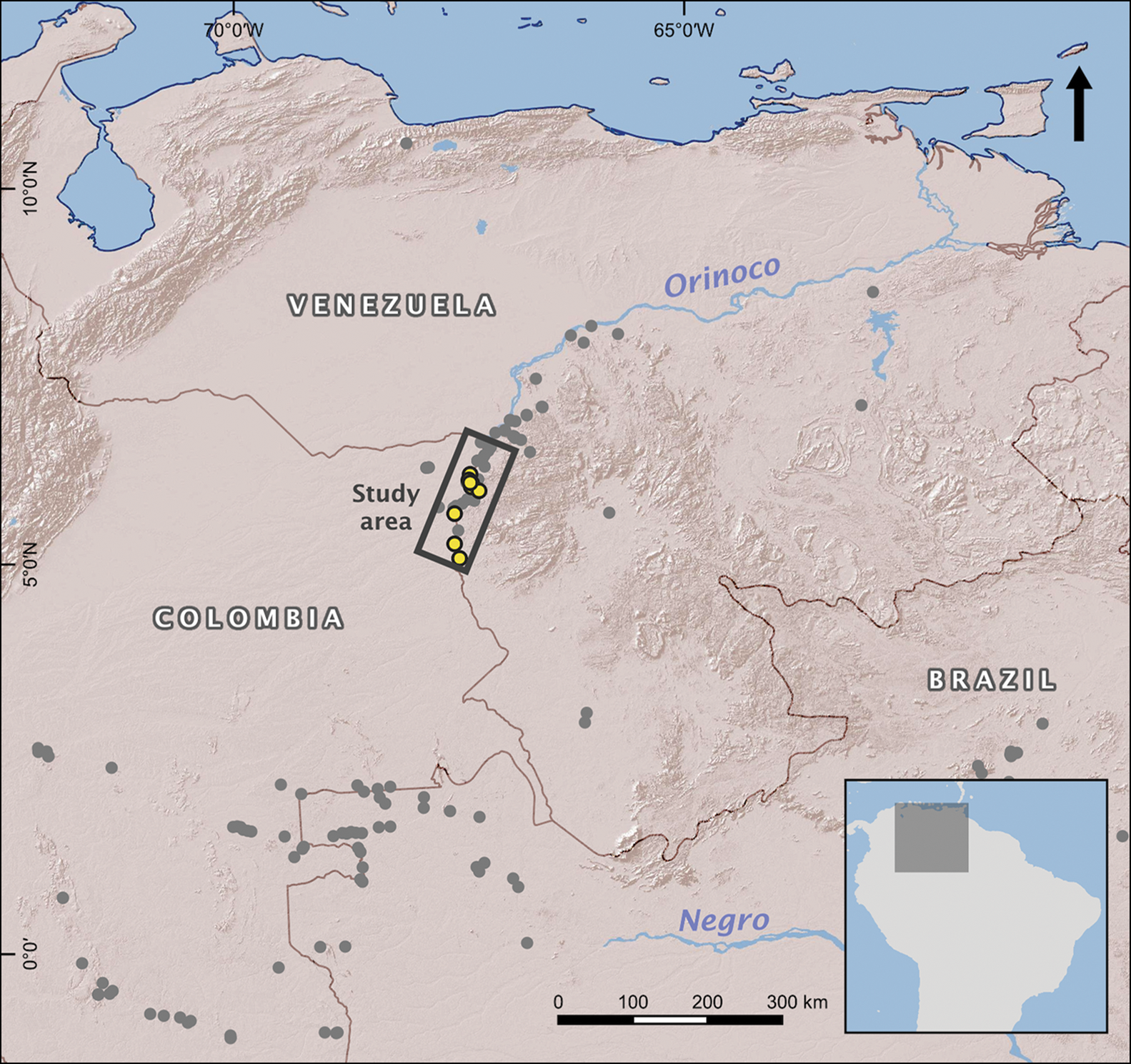 Monumental snake engravings of the Orinoco River | Antiquity ...
