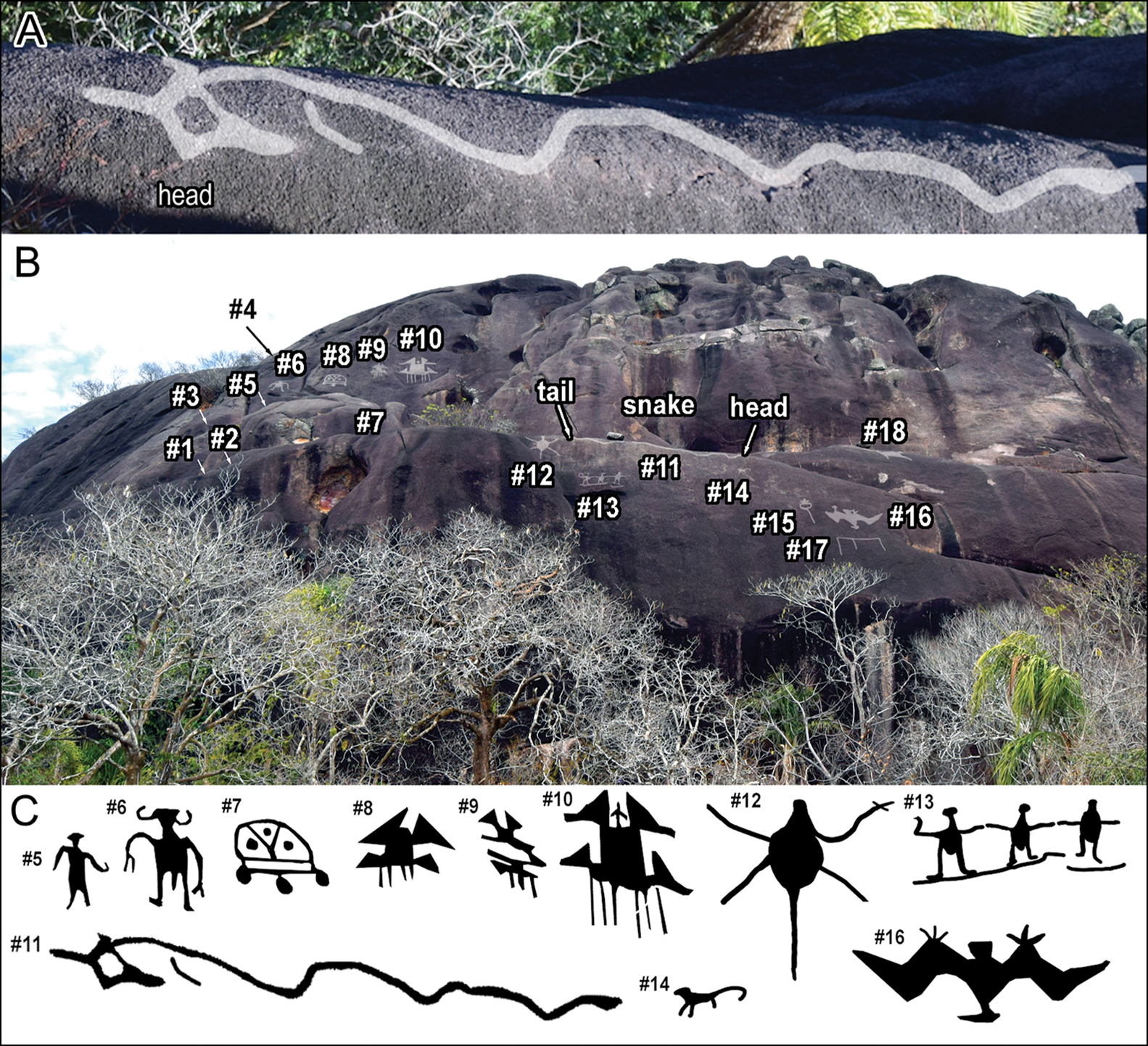 Monumental snake engravings of the Orinoco River | Antiquity ...