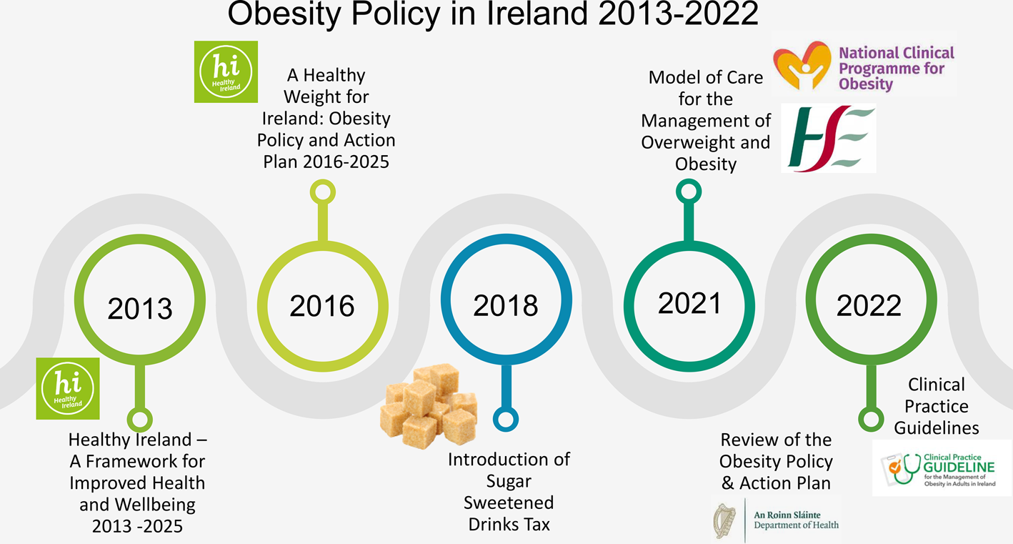 Living with obesity in Ireland: determinants, policy and future ...