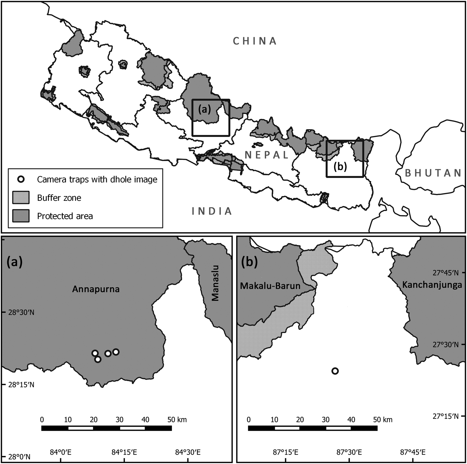 Challenges and possible conservation implications of recolonizing ...