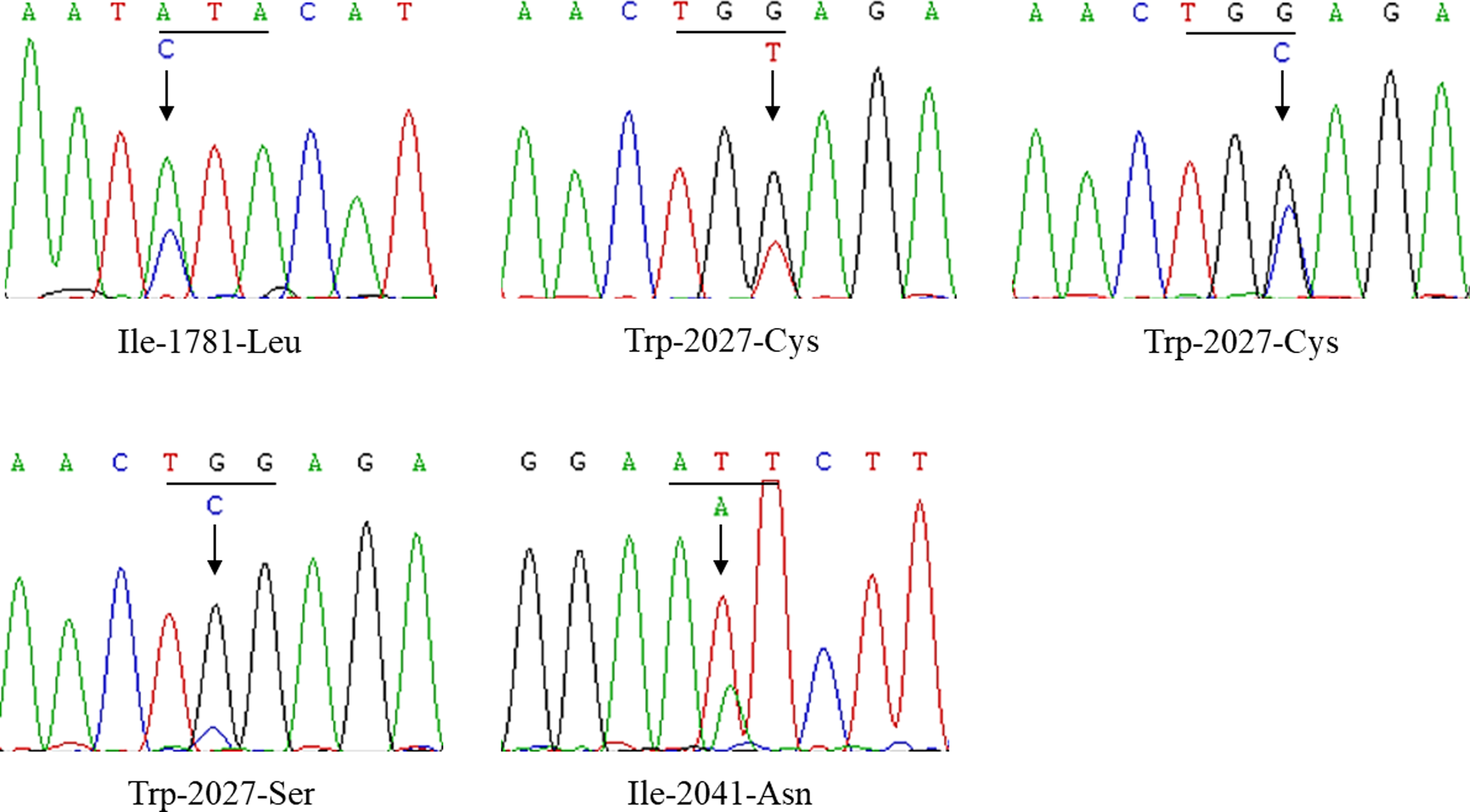 Resistance patterns and molecular basis to ACCase-inhibiting herbicides ...
