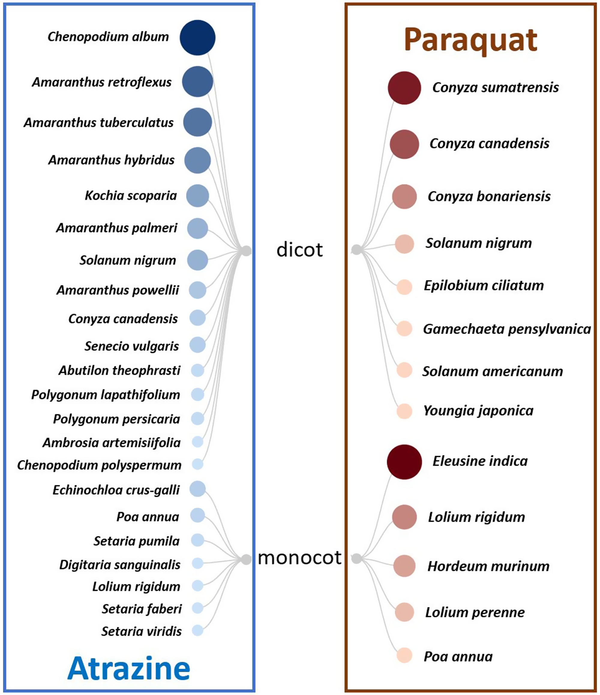 Is there a place for new herbicides targeting photosynthetic electron ...