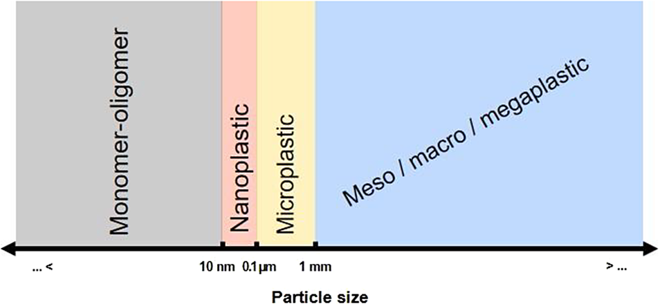 How small a nanoplastic can be? A discussion on the size of this ...