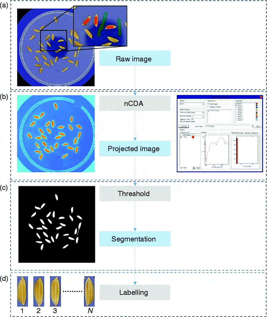 A virtual seed file: the use of multispectral image analysis in the ...