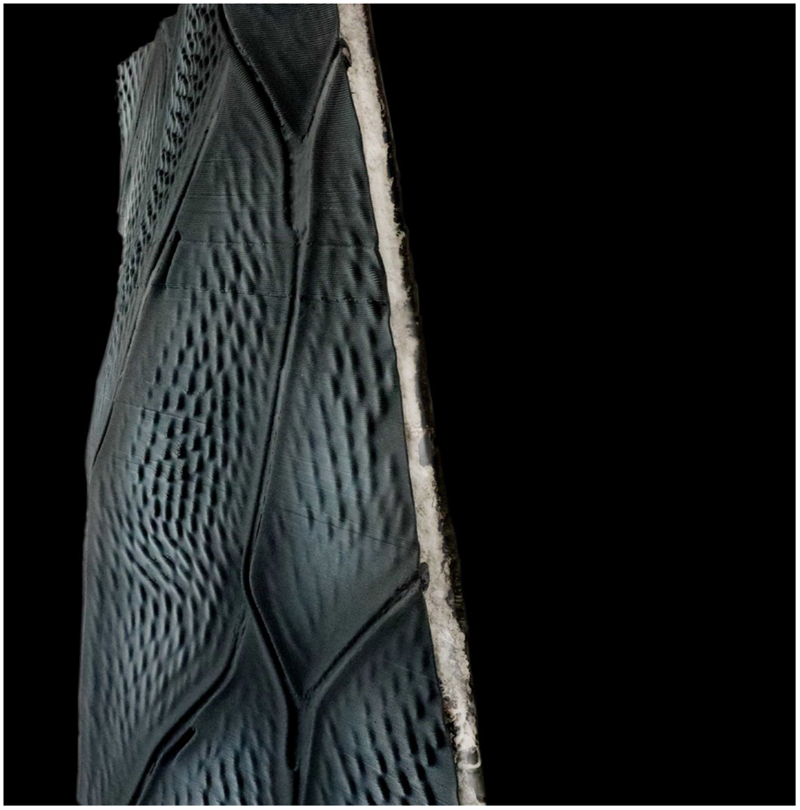 BioForms: 3-D printed mycelium wall panel systems | Research Directions ...