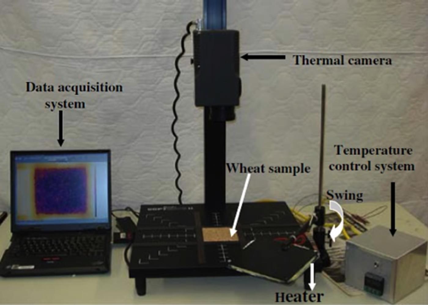 Assessment of seed quality using non-destructive measurement techniques ...