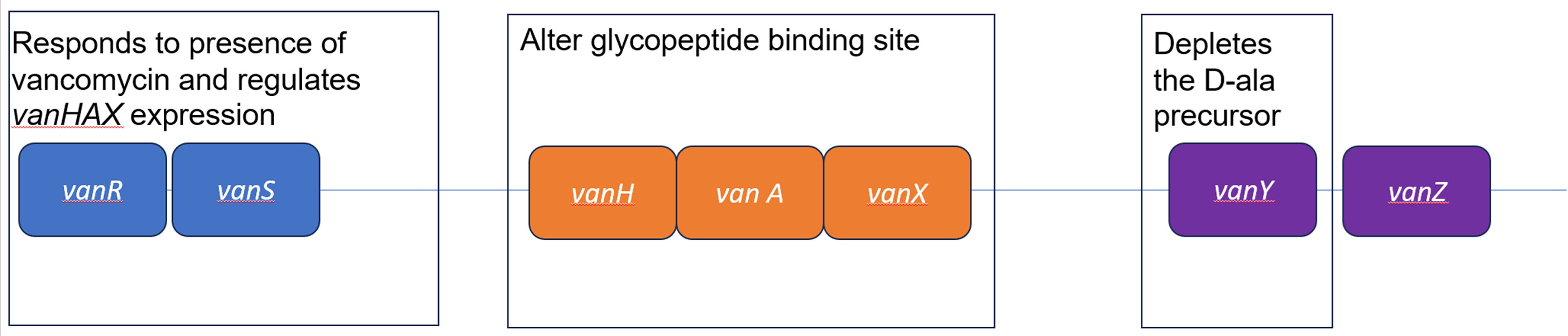 “Keeping us on our toes”: a review of what clinicians need to know ...