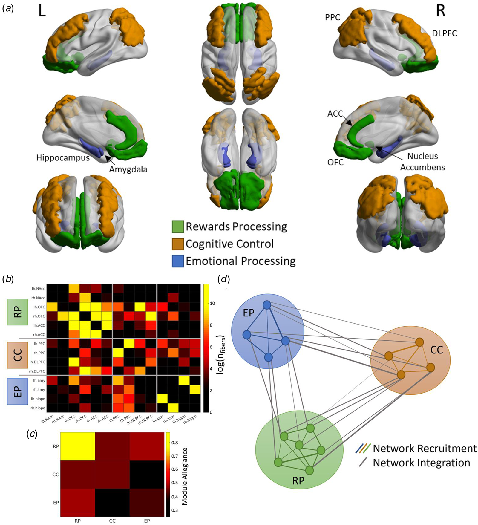 Screen time, brain network development and socio-emotional competence ...