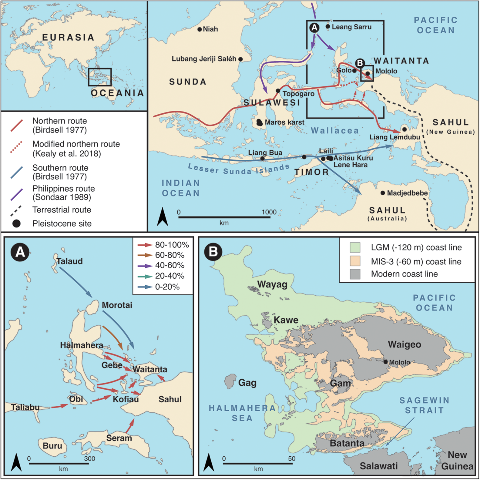 Human dispersal and plant processing in the Pacific 55 000–50 000 years ...