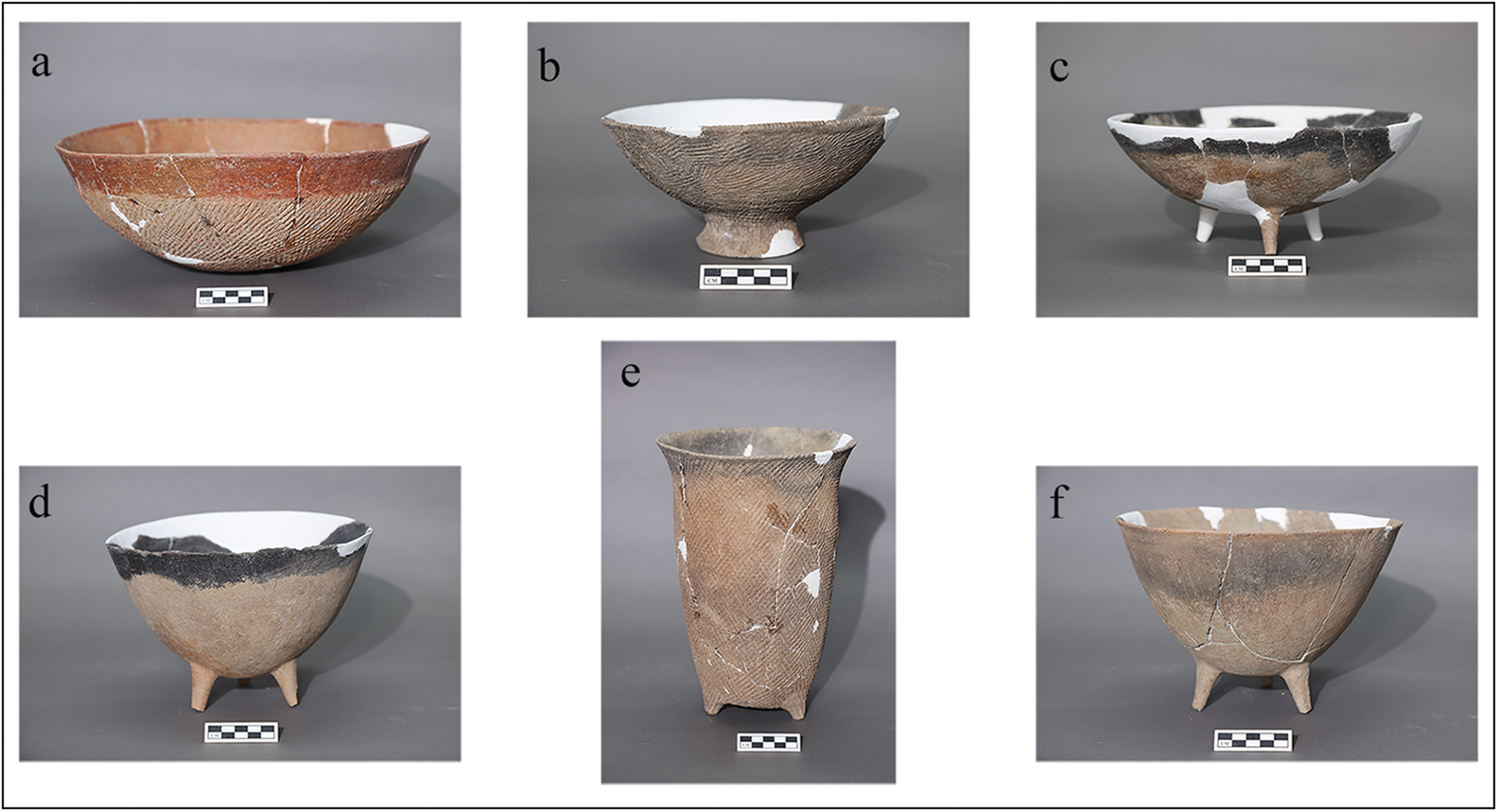 Early Neolithic plant exploitation in north-western China ...