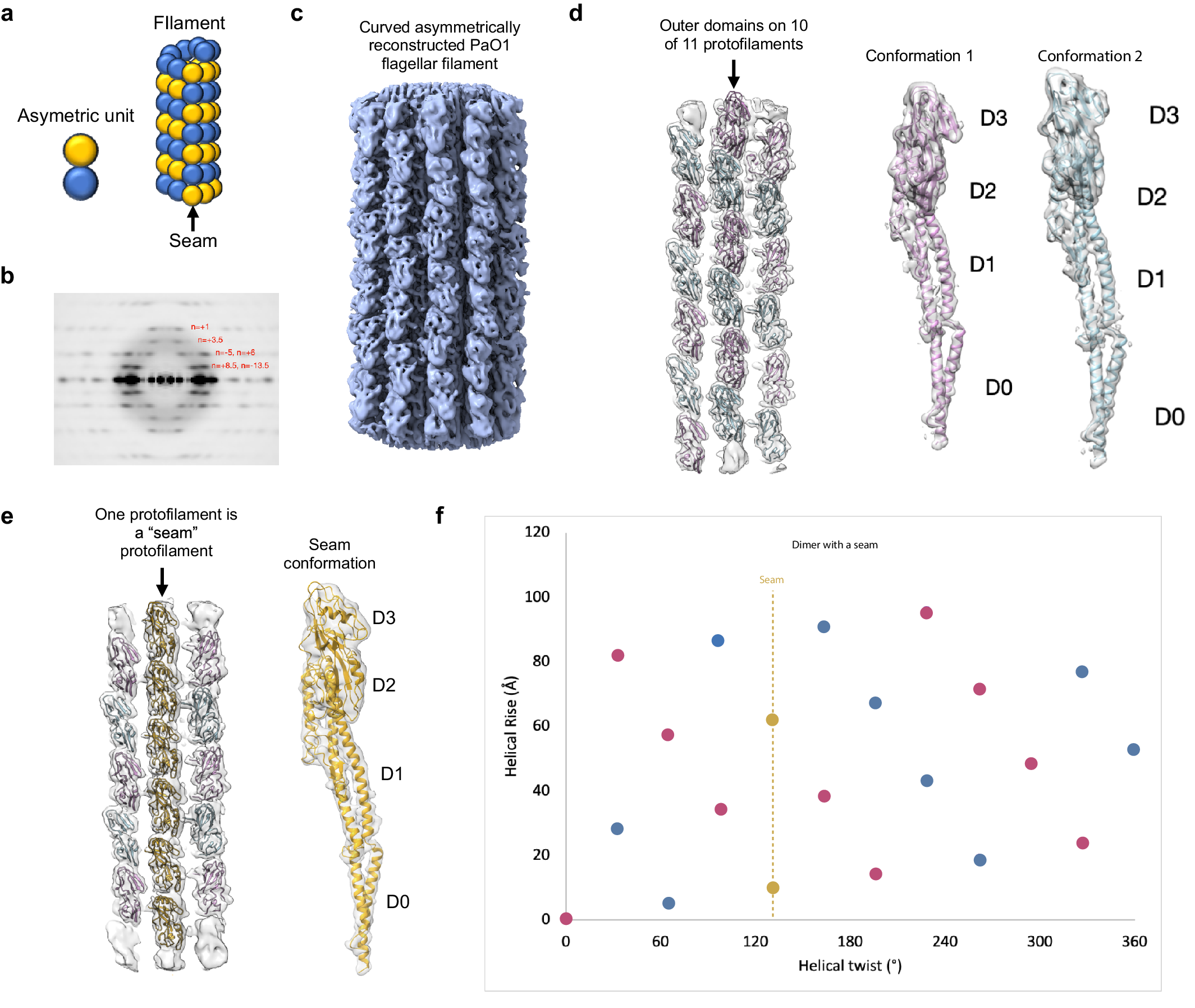 Cryo-EM reconstruction of helical polymers: Beyond the simple cases ...