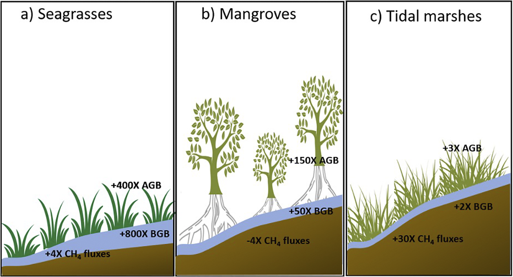 Restoring blue carbon ecosystems | Cambridge Prisms: Coastal Futures ...