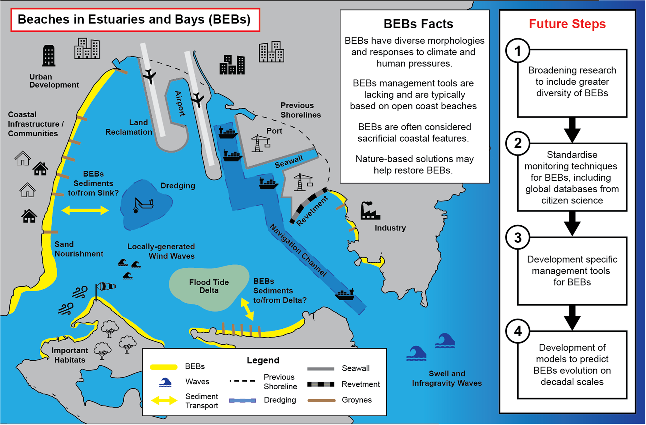Morphodynamics and management challenges for beaches in modified ...