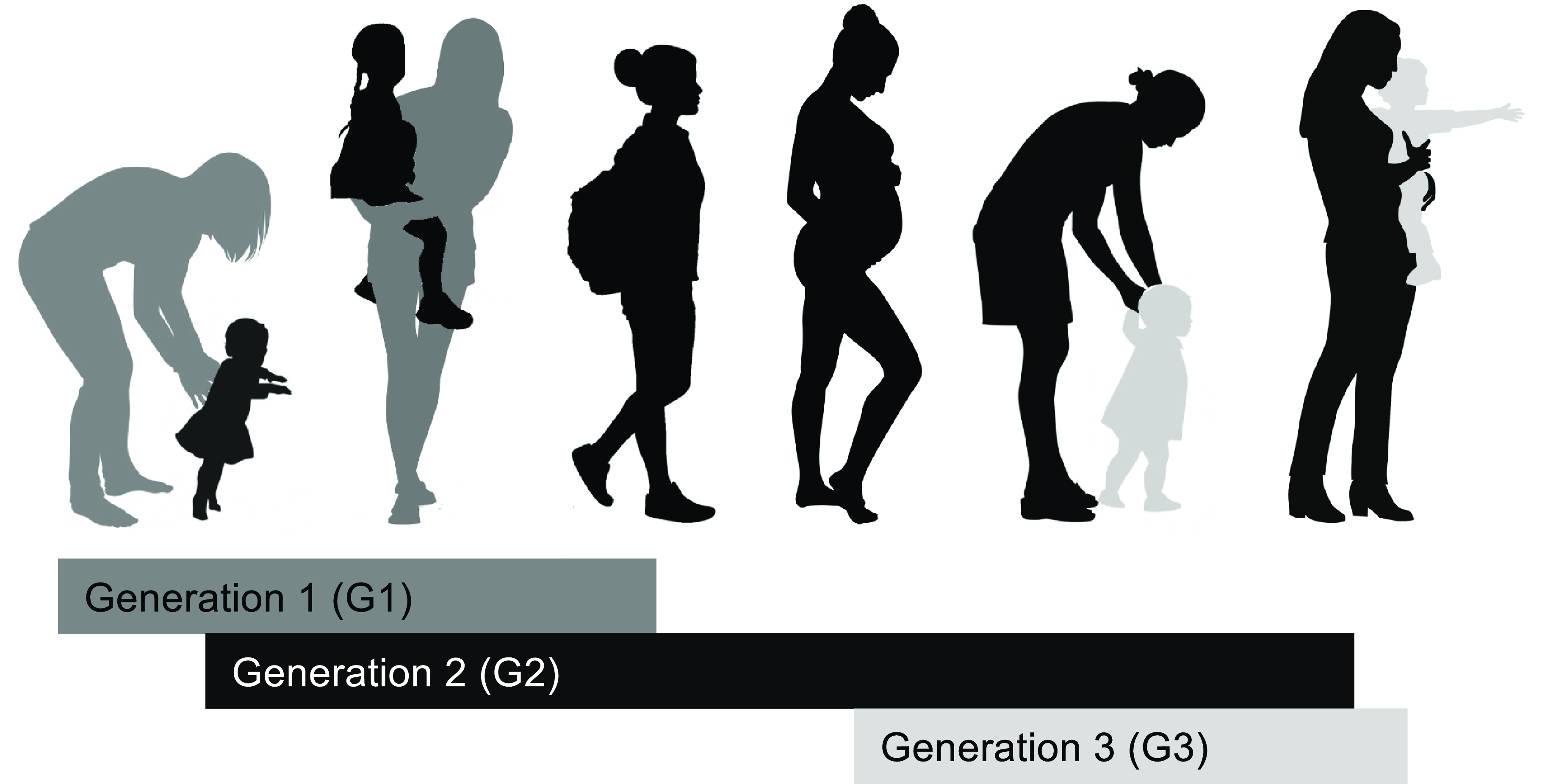 The future of intergenerational transmission research: A prospective ...