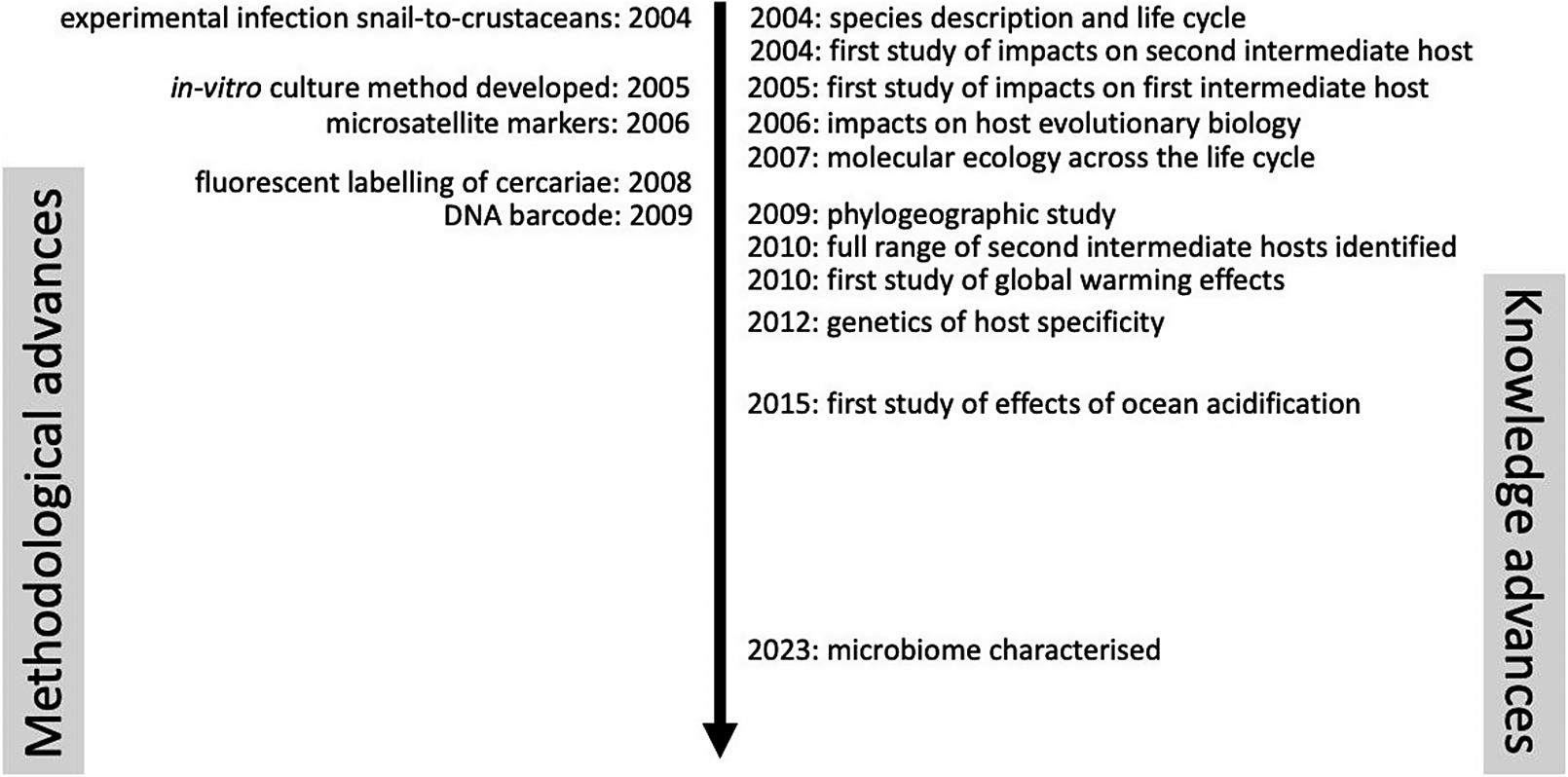 Breadth versus depth of knowledge: the need for new model trematode ...