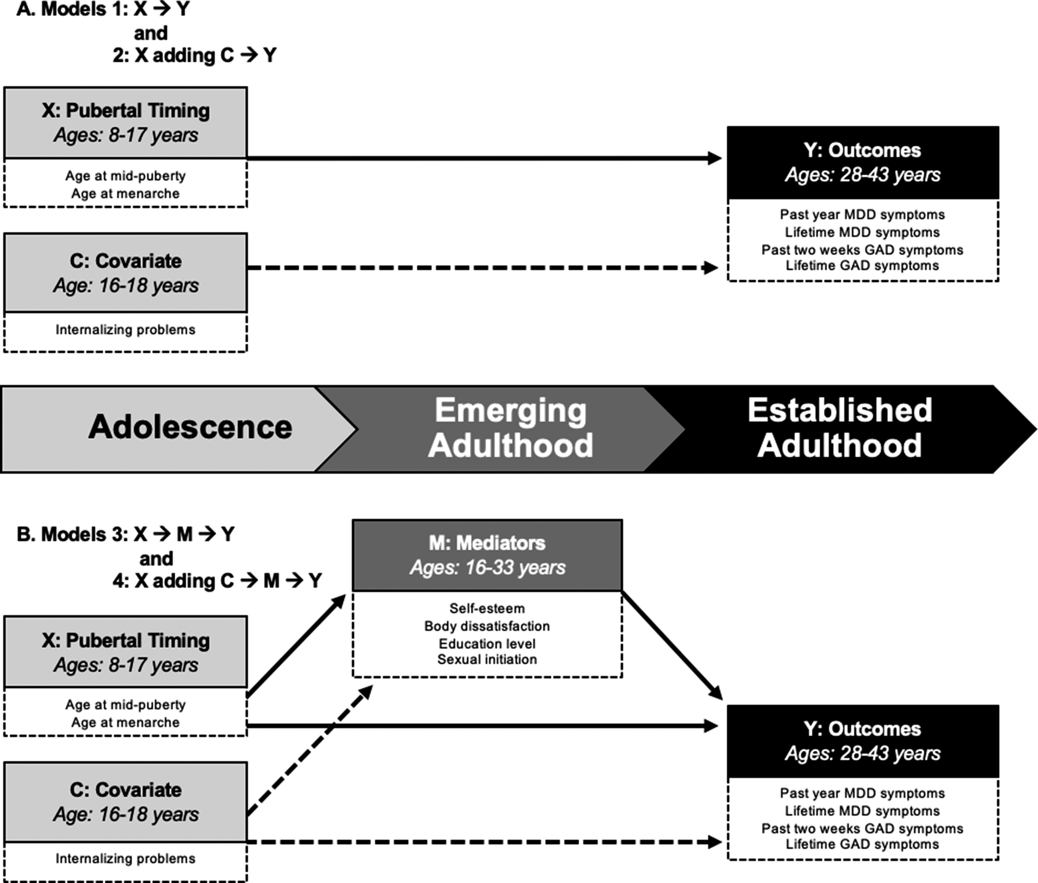 The long reach of puberty: mechanisms underlying sex-dependent links ...