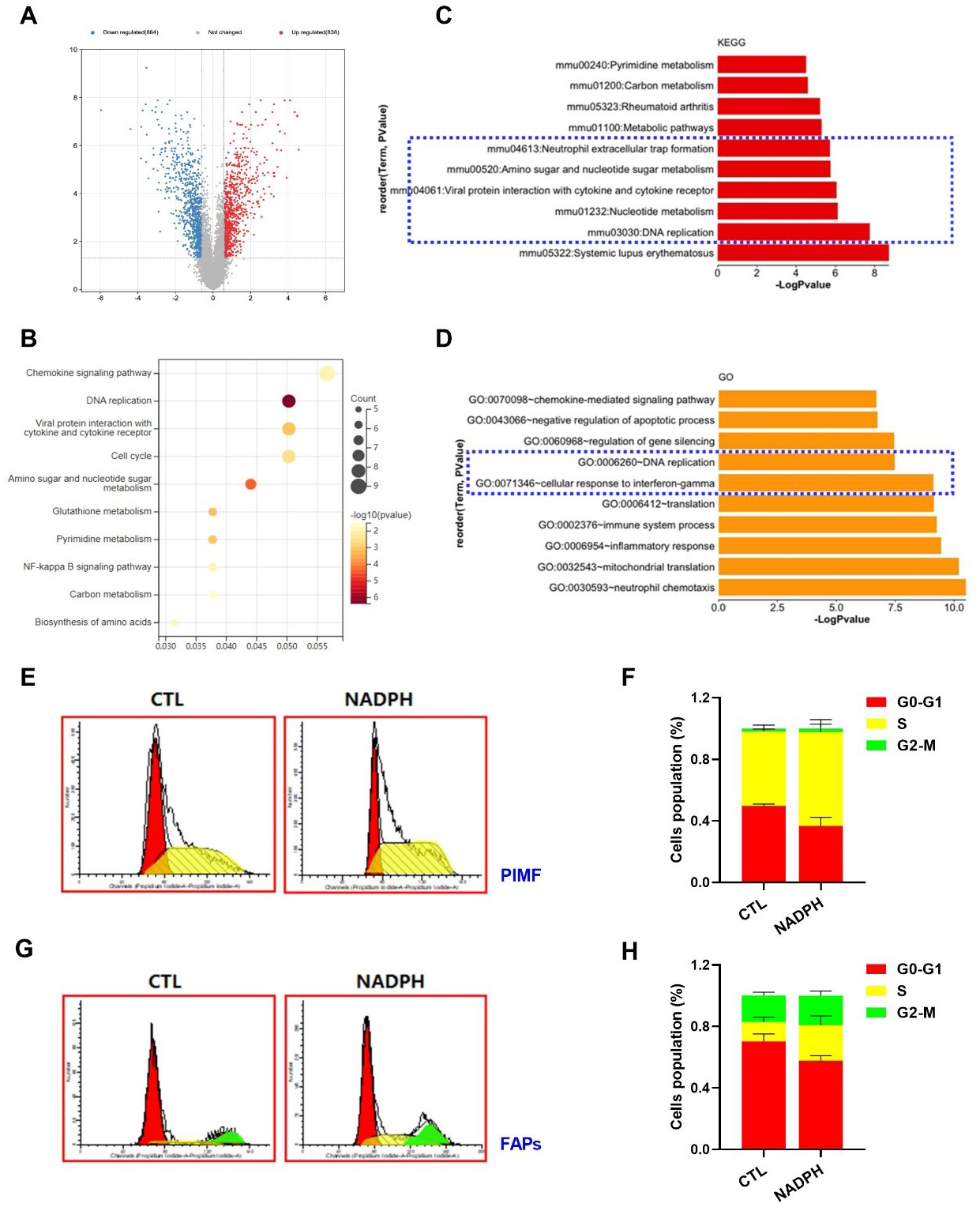 Betaine increases intramuscular fat deposition by promoting the cell ...