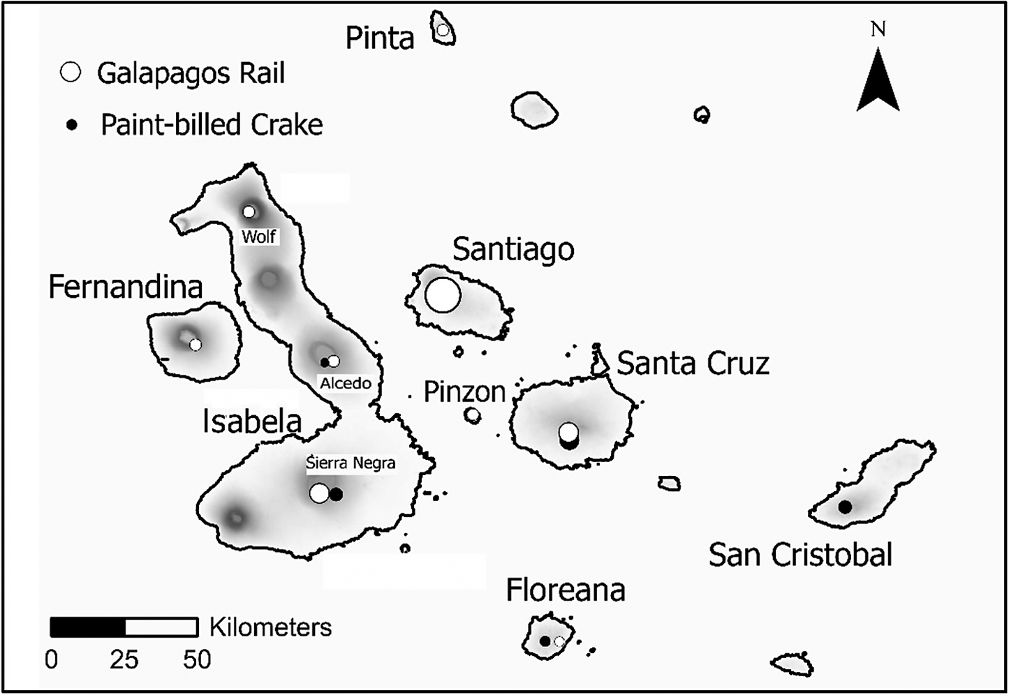 Status, distribution, and population trends of Galápagos Rail ...