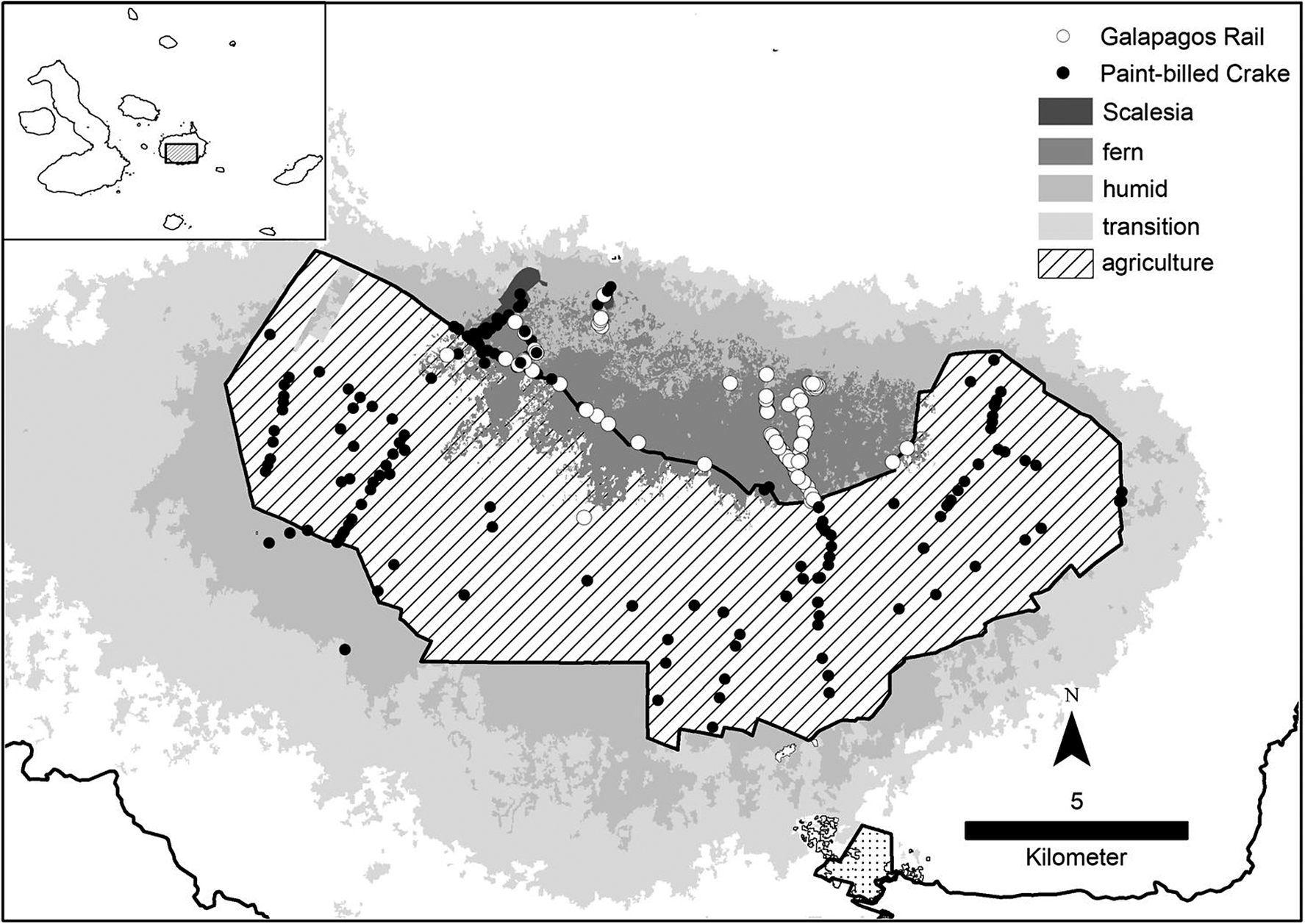 Status, distribution, and population trends of Galápagos Rail ...