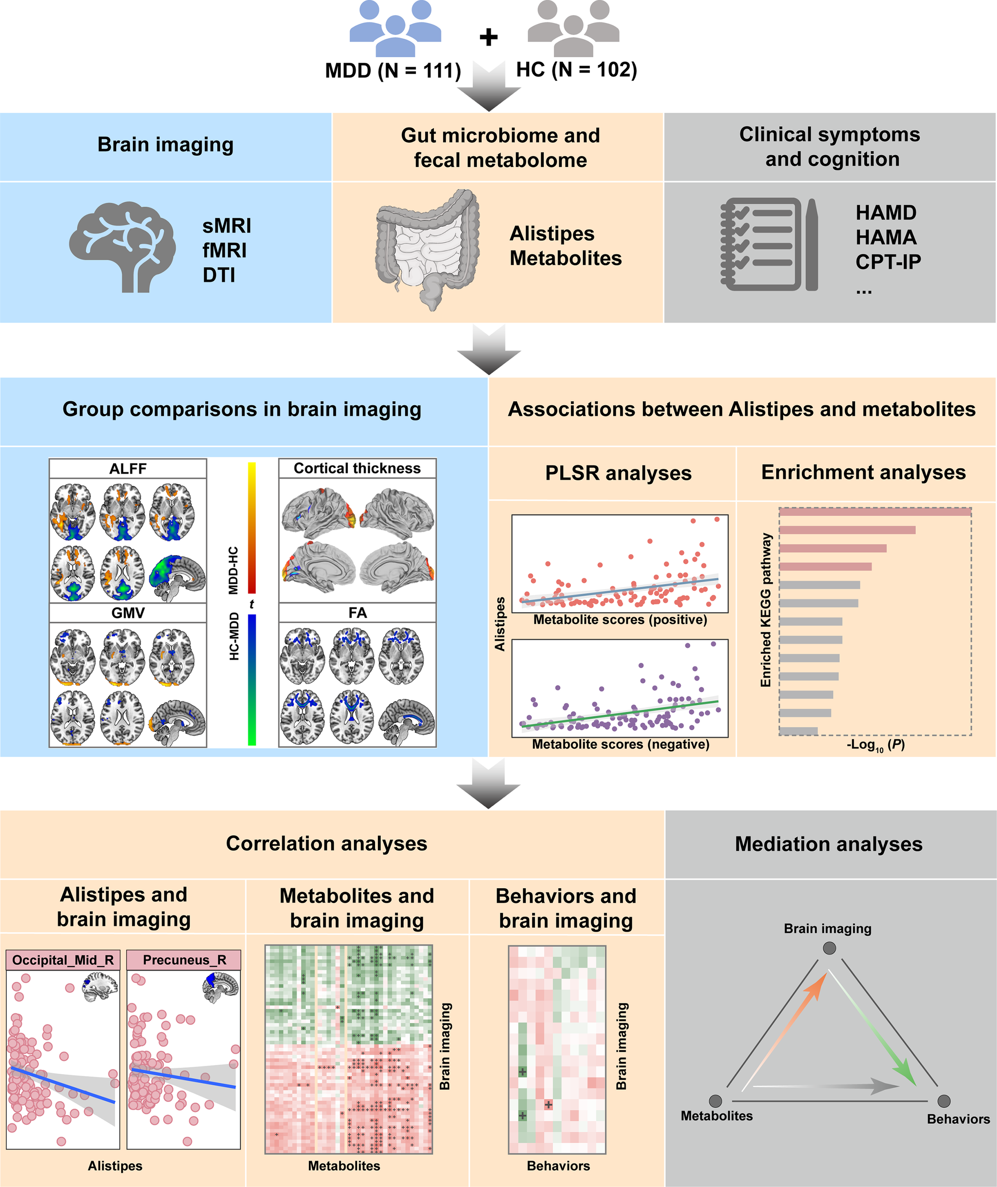 Multi-omics analyses of the gut microbiome, fecal metabolome, and ...