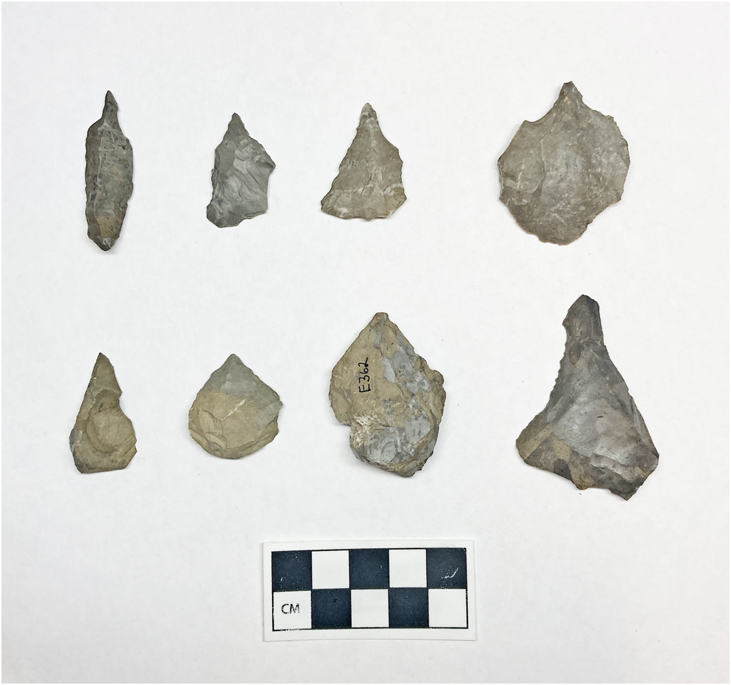 Differentiating Chipped Stone Perforators from Gravers | American ...