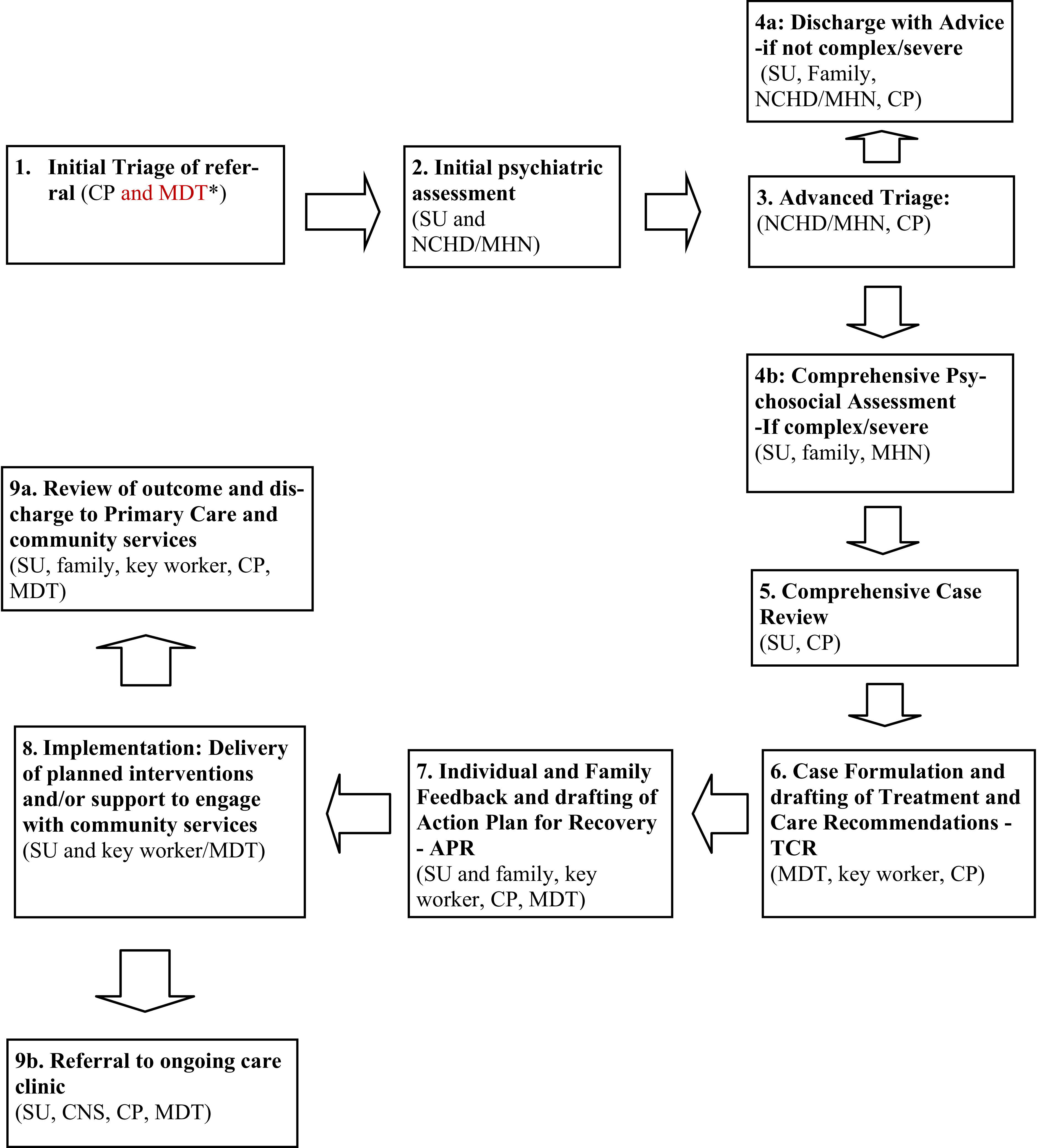A new approach to care planning in community mental health: the 9-step ...