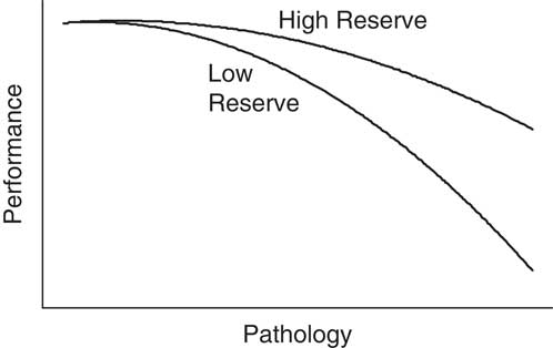 Conceptual and Measurement Challenges in Research on Cognitive Reserve ...