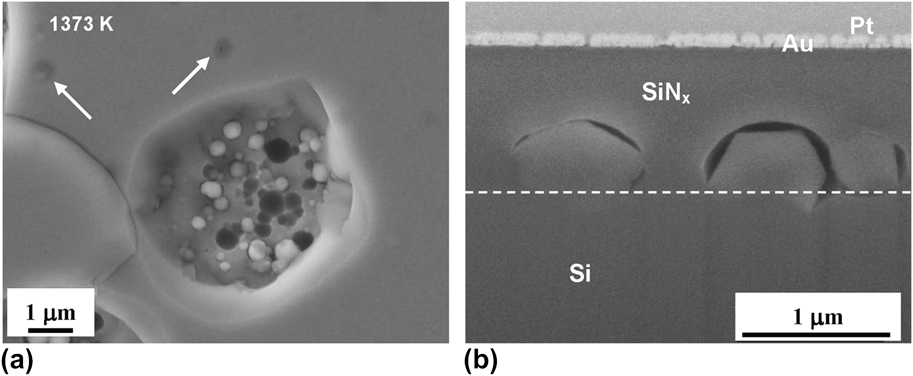 Thermally induced damages of PECVD SiNx thin films | Journal of ...