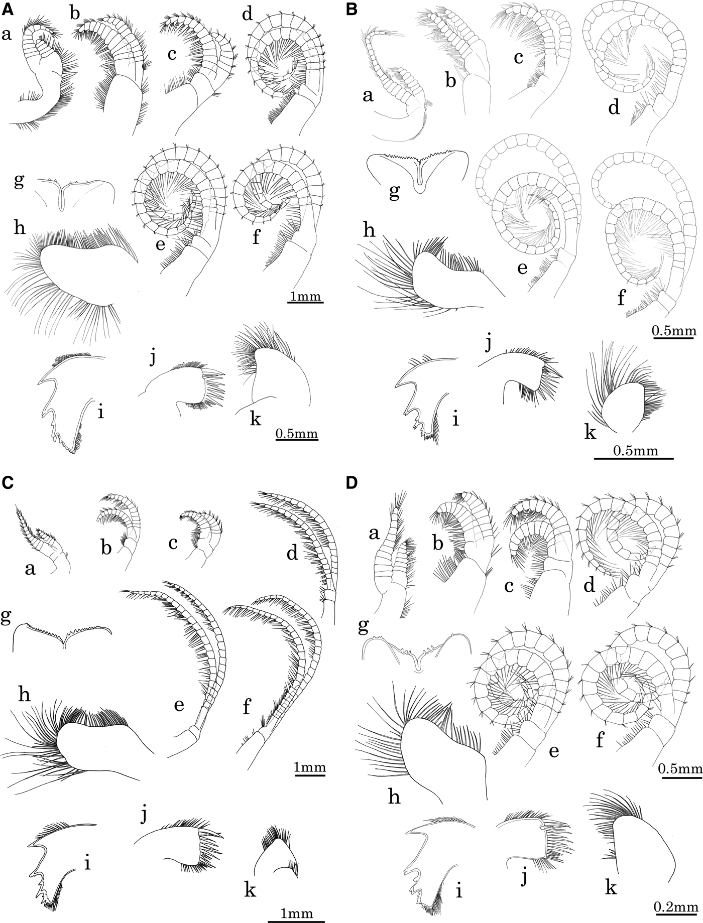 Atlas of the barnacles on marine vertebrates in Japanese waters ...
