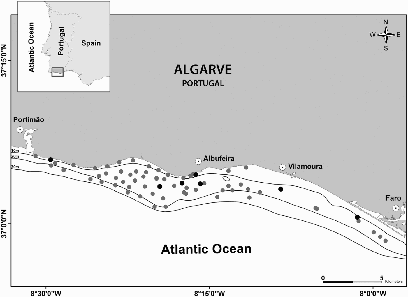 First record of Calcinus tubularis on the southern coast of Portugal ...