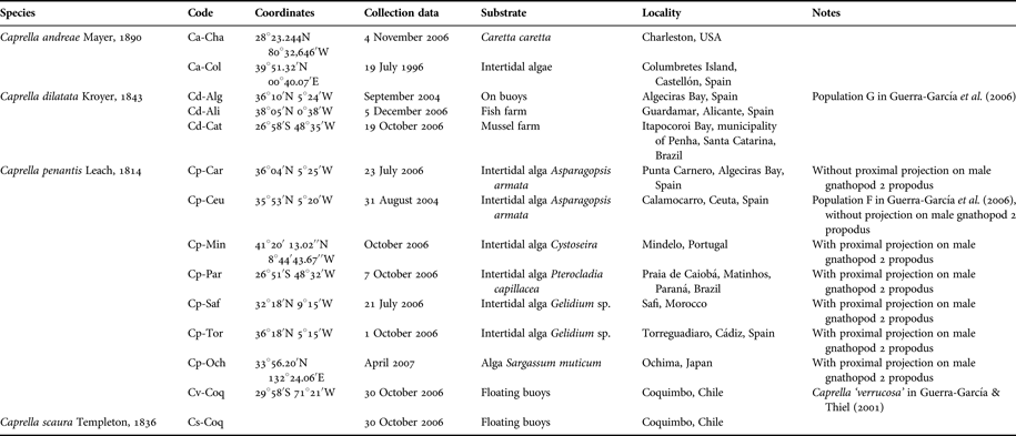 Exploring molecular variation in the cosmopolitan Caprella penantis ...