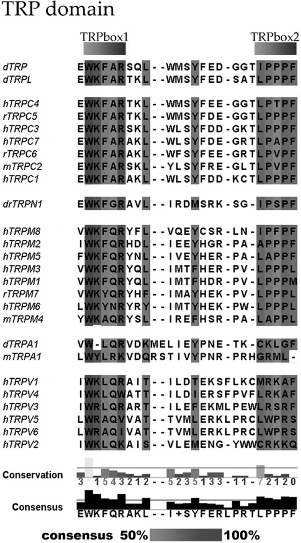 Structure–functional intimacies of transient receptor potential ...