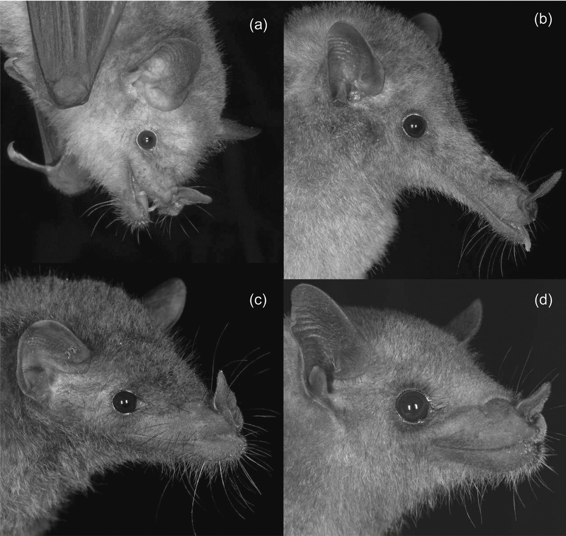 Seasonal changes in species composition, resource use and reproductive ...