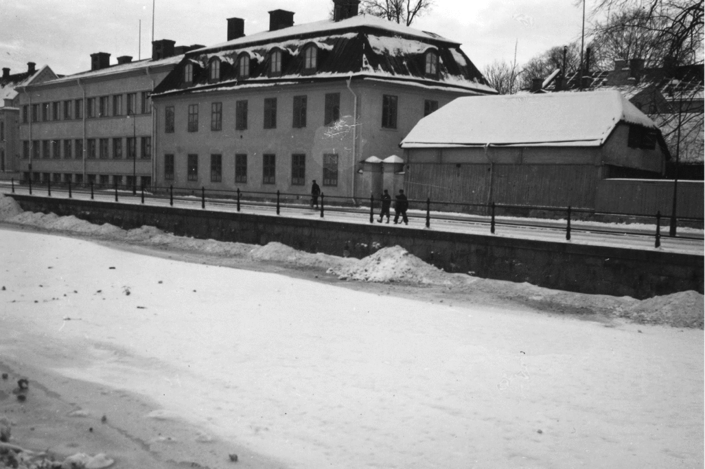 The Emergence of Genetic Counseling in Sweden: Examples from Eugenics ...