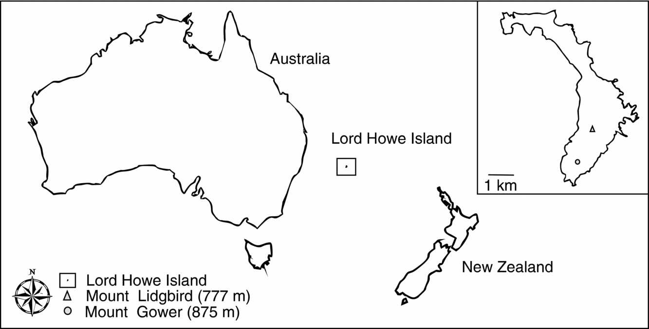 Plant composition patterns inside an endemic birds’ nest fern ...