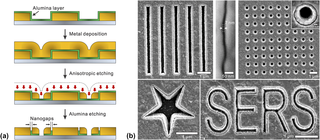 Atomic layer deposition: A versatile technique for plasmonics and ...