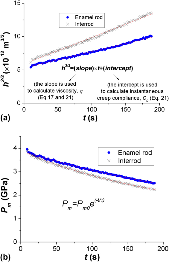 Comparison of mechanical behaviors of enamel rod and interrod regions ...