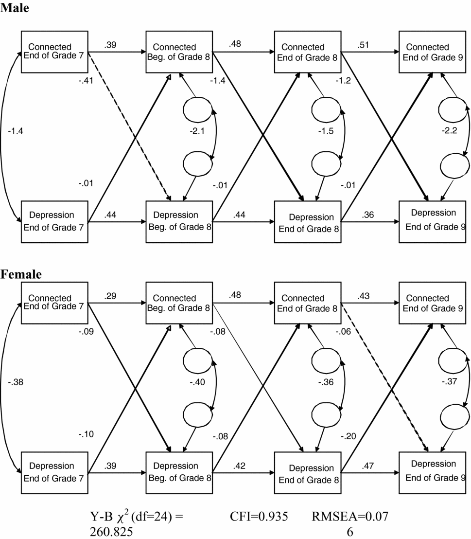 The Relationship Between School Connectedness and Mental Health During ...