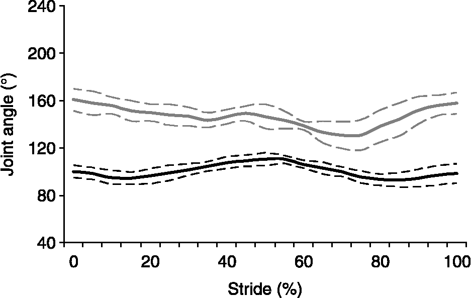 Two-dimensional kinematics of the jog and lope of the stock breed ...