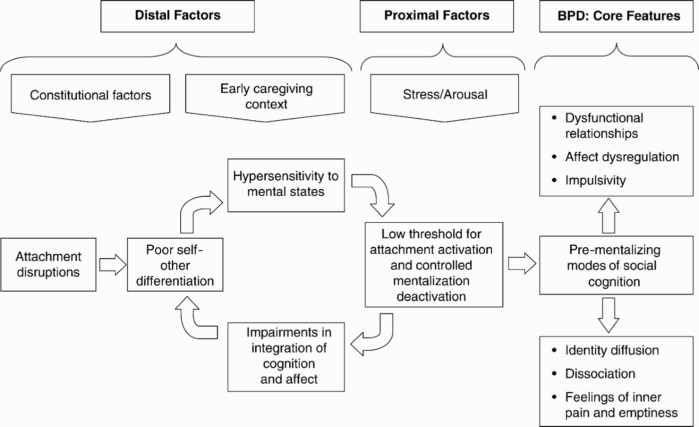 A developmental, mentalization-based approach to the understanding and ...