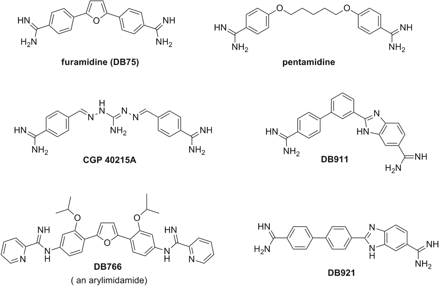 Novel amidines and analogues as promising agents against intracellular ...