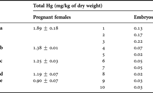 Reproductive strategy of the female deep-water shark birdbeak dogfish ...