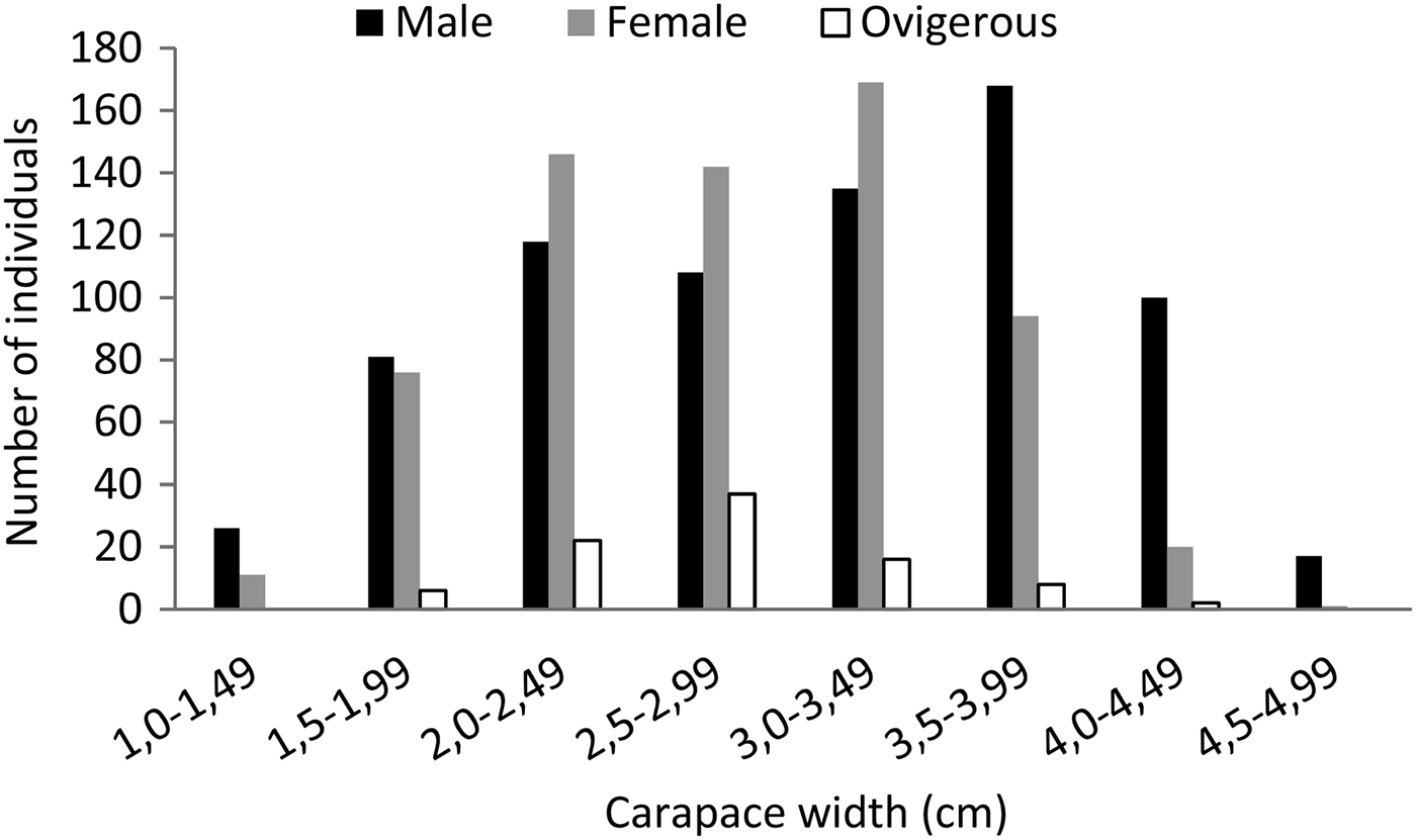 Biological characteristics of Pachygrapsus marmoratus in the southern ...
