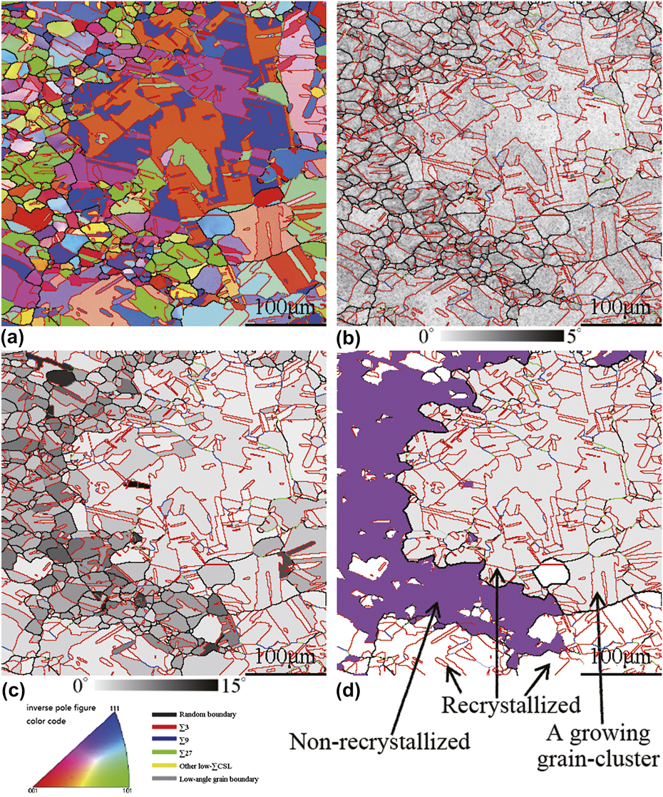 Effect of initial grain sizes on the grain boundary network during ...