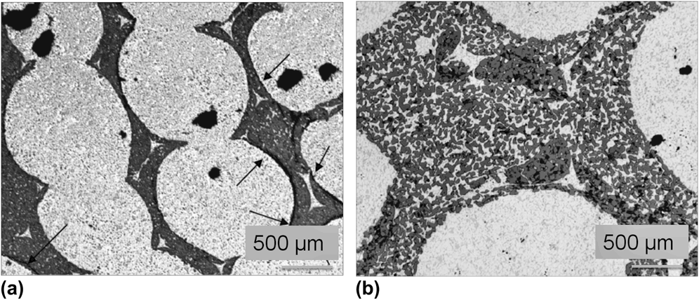 Functionalization of open-celled foams by homogeneous slurry based ...