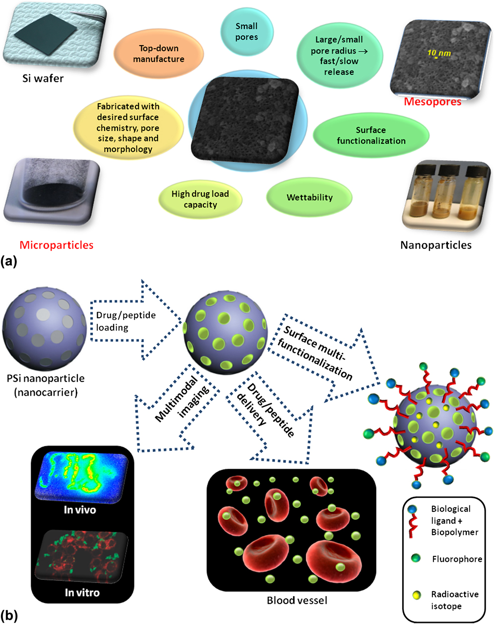Nanostructured porous silicon in preclinical imaging: Moving from bench ...