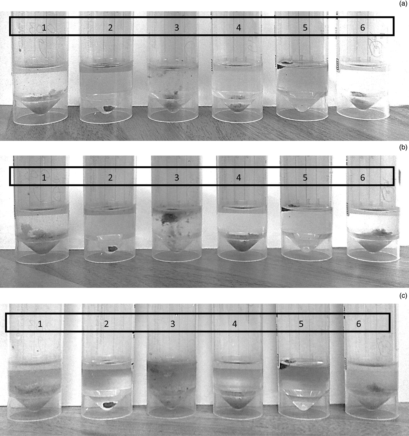 Finding the most effective cerumenolytic | The Journal of Laryngology ...