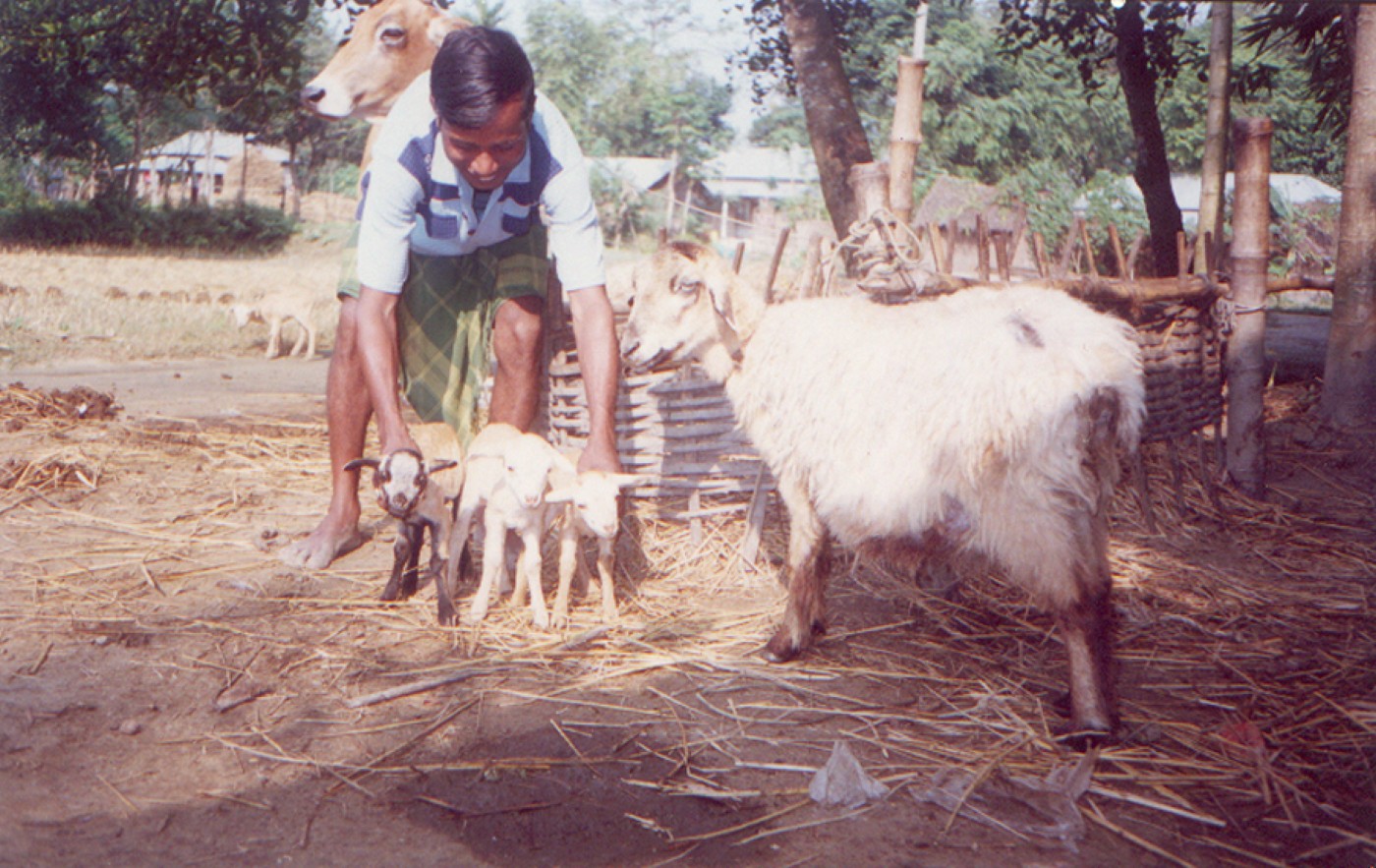 Distribution of prolific Garole sheep in West Bengal, India | Animal ...